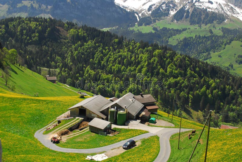 Farm in the Alps in Switzerland Stock Photo - Image of alps, camera ...