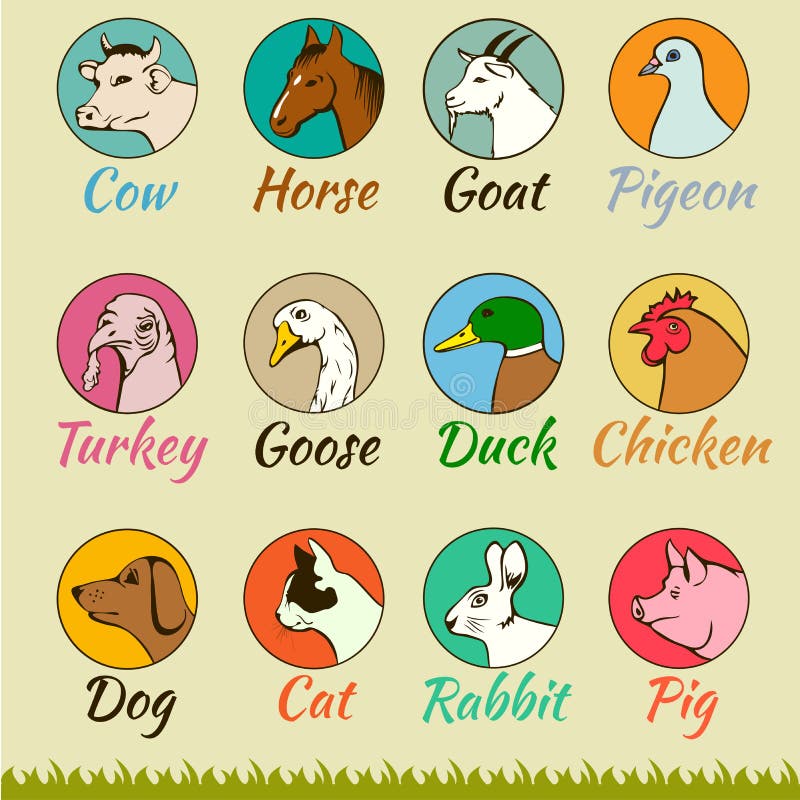 3+ Farm animal heads isolated Free Stock Photos - StockFreeImages