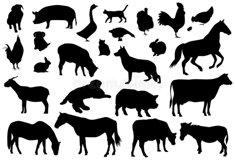 Mule Outline Stock Illustrations – 1,155 Mule Outline Stock ...