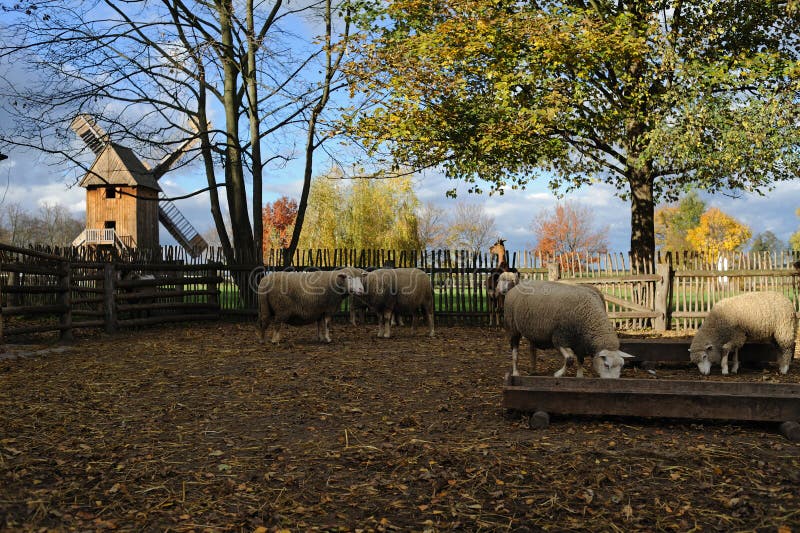 Farm animals stock image. Image of windmill, sheep, farmland - 27610595
