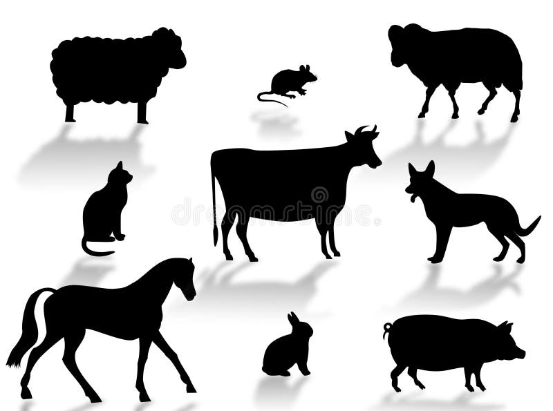 Farm animals stock illustration. Illustration of shadows - 3074795