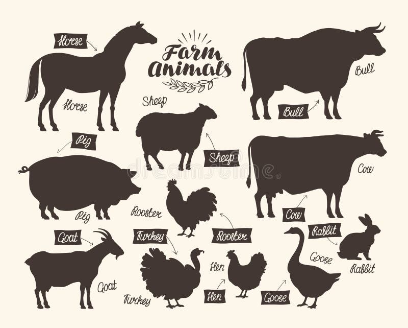 Gander Symbol Stock Illustrations – 141 Gander Symbol Stock ...