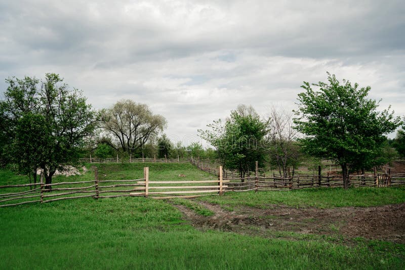 Farm Animals Enclosure in Summer Stock Photo - Image of access, land ...