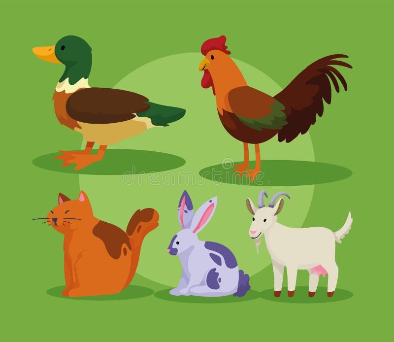 Farm animals five icons stock vector. Illustration of agriculture ...