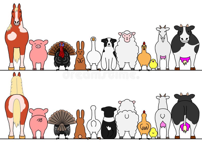 Farm Animals In A Row, Front And Back Stock Illustration - Image: 53975874