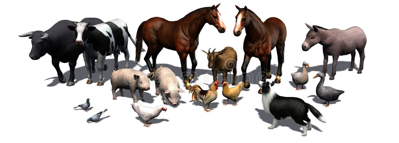 Farm Animals Separated White Background Stock Illustrations – 26 Farm ...