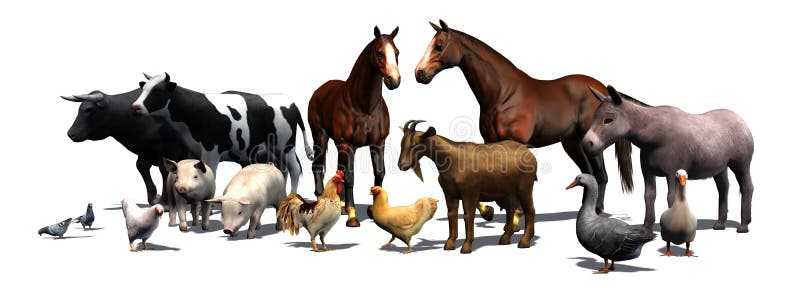 Farm Animals - Separated on White Background Stock Illustration ...