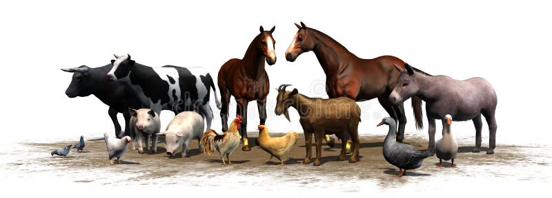 Farm Animals - Separated on White Background Stock Illustration ...