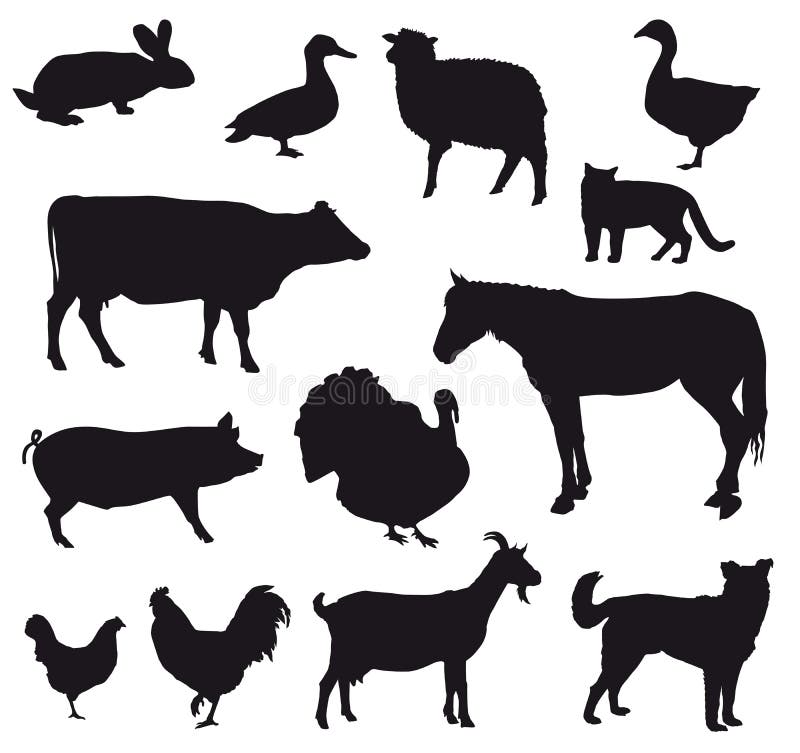 Farm animals set. Vector stock vector. Illustration of fish - 32517689
