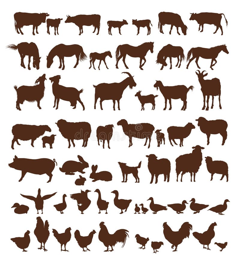 Farm animals - vector stock vector. Illustration of fowl - 7529709