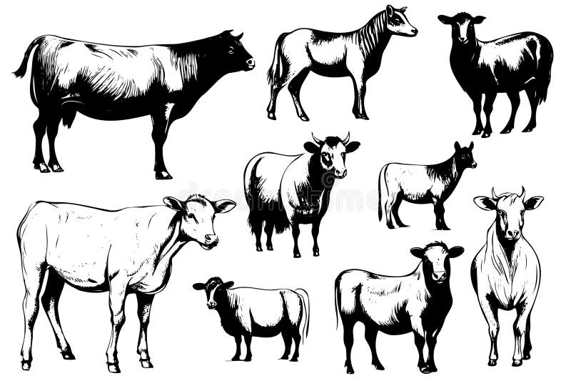 Goat Farm Hand Drawn Sketch Cattle Farm Vector Illustration Stock ...