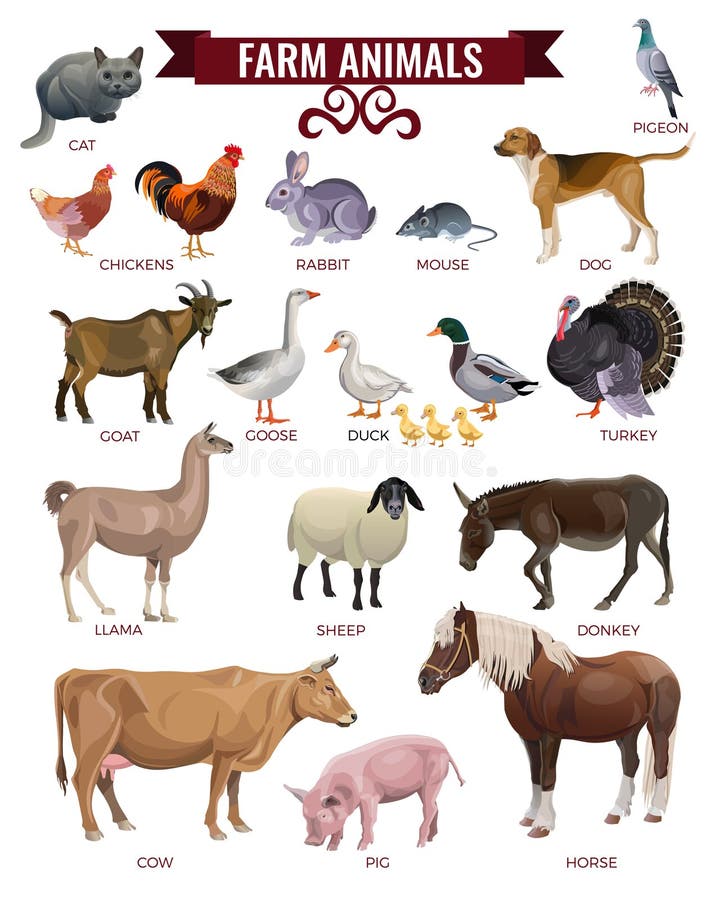 Different Farm Animals Stock Illustrations – 2,294 Different Farm ...