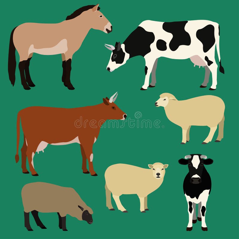 Cartoon Farm Animals and Poultry Vector Set. Stock Vector ...