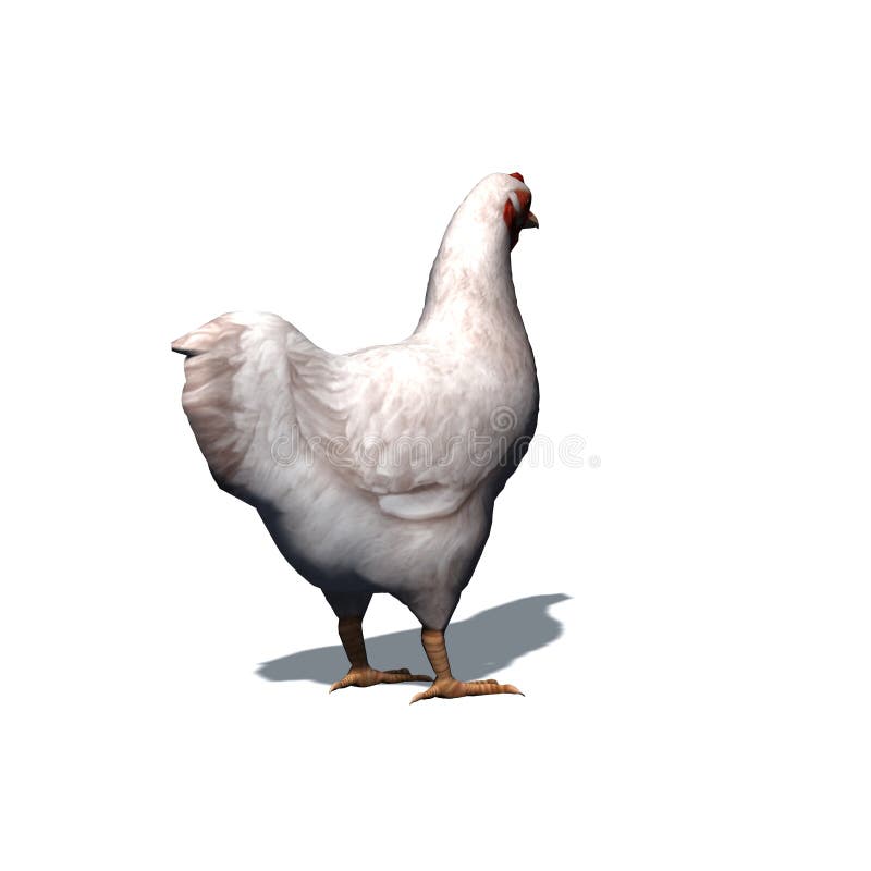 Running Chicken Silhouette Stock Illustrations – 83 Running Chicken ...