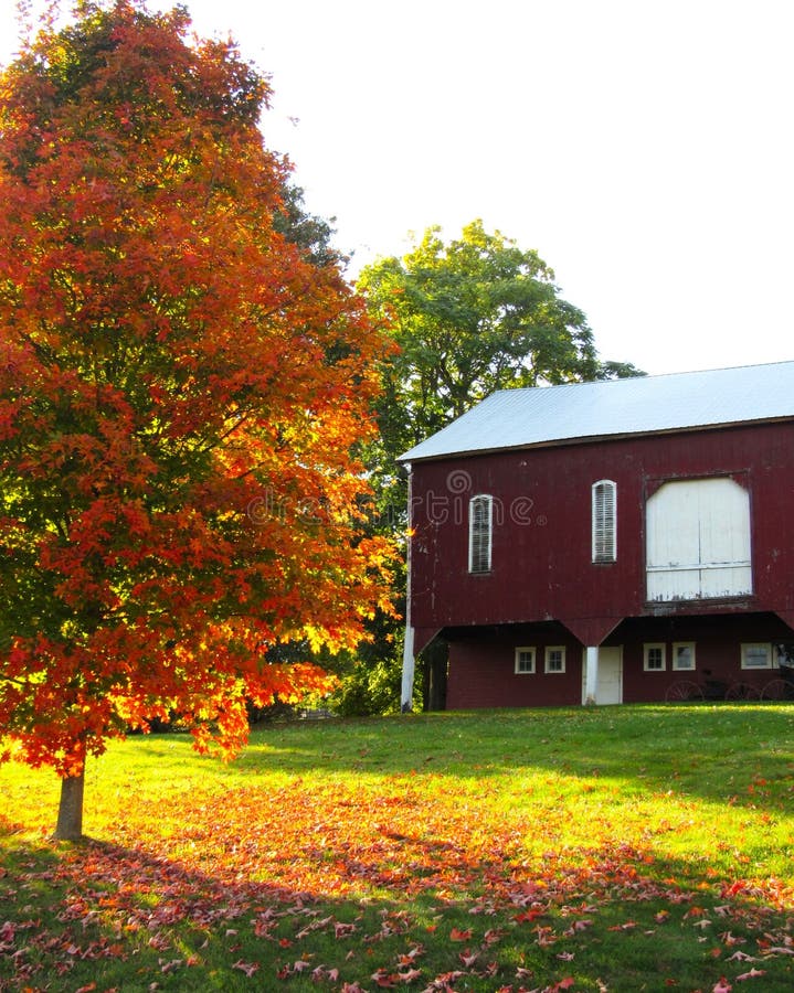 Farm in autumn stock image. Image of neighbourhood, estate - 259132179