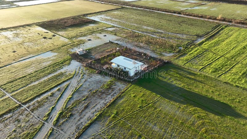 Farm Background Texture 4 K Aerial View 4K Stock Video - Video of ...