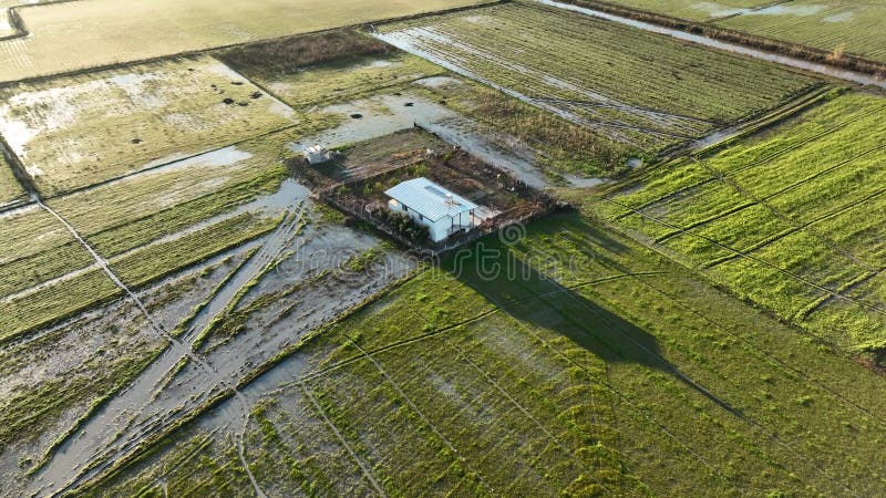 Farm Background Texture 4 K Aerial View 4K Stock Video - Video of field ...