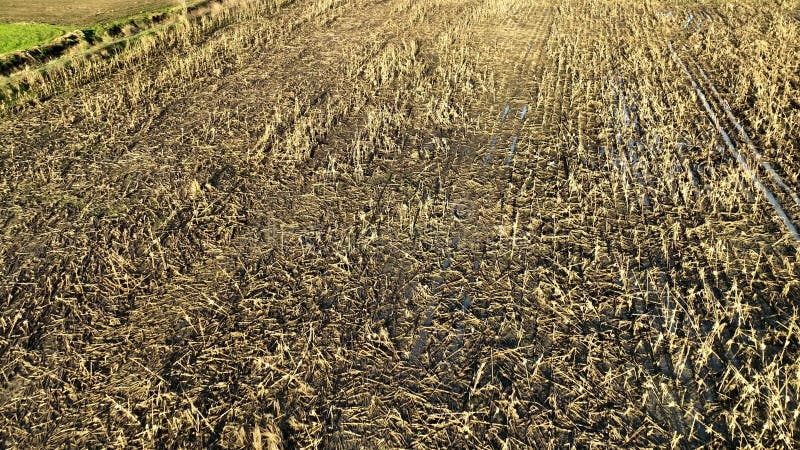 Farm Background Texture 4 K Aerial View 4K Stock Footage - Video of ...