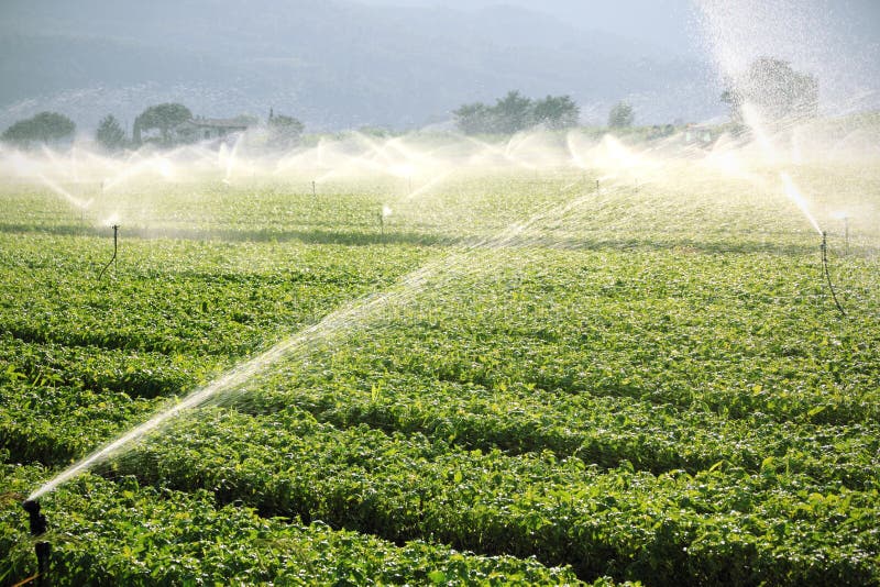 Farm Background, Irrigation System Stock Image - Image of irrigation ...
