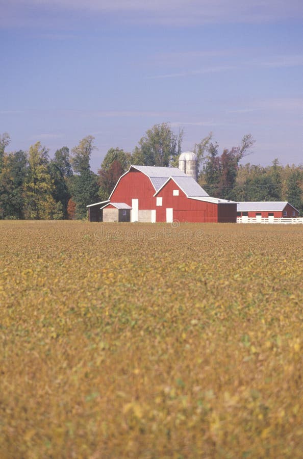 Farm with Red Barn and Grain Silo Stock Image - Image of america ...