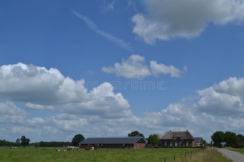 Farm and barns stock image. Image of cows, milkproduction - 41589919