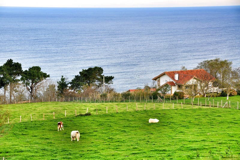 Farm in the Bay of Biscay. San Sebastian. Spain Stock Image - Image of ...
