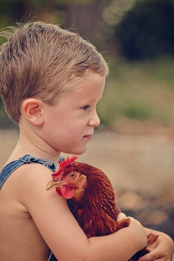Farm boy with chicken stock image. Image of chicken, thinking - 43985651