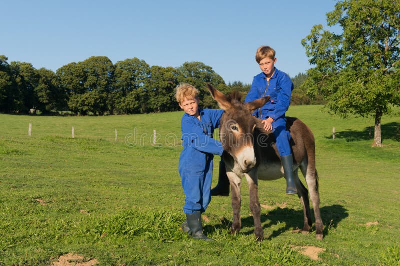 Farm Boys with Their Donkey Stock Image - Image of sitting, farm: 59464151