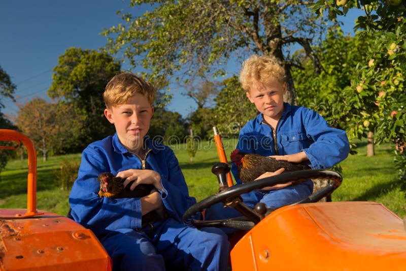 Farm Boys on tractor stock image. Image of agricultural - 60121083