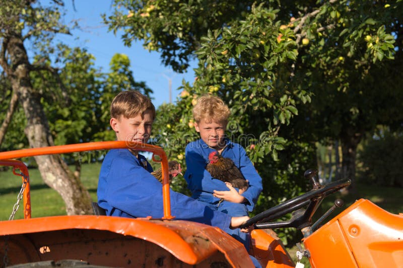 Farm Boys on tractor stock image. Image of driver, agricultural - 61316949