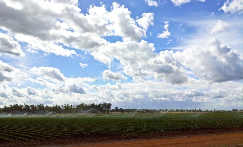 Farm stock image. Image of farm, bright, nature, sunlight - 73477295