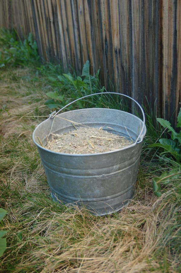 Farm Bucket on Dry Grass by Fence Stock Photo - Image of nature, wooden ...