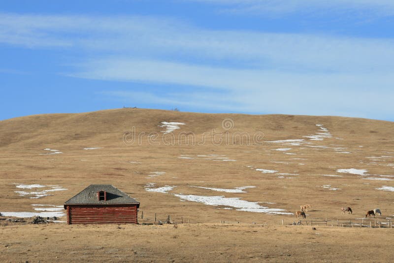 Farm Building, Alberta, Canada Stock Image - Image of house, pioneer ...
