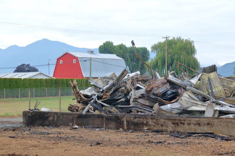 Farm Building Fire Aftermath Stock Image - Image of debris, remains ...