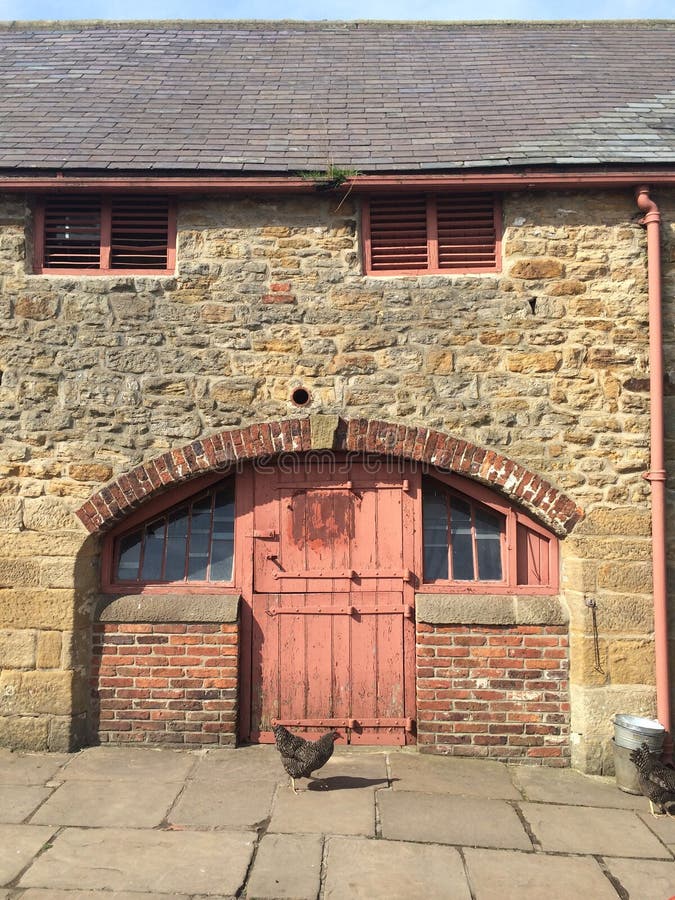 Farm Building with Cows and Pigs in the Village, Aerial View. Cowshed ...