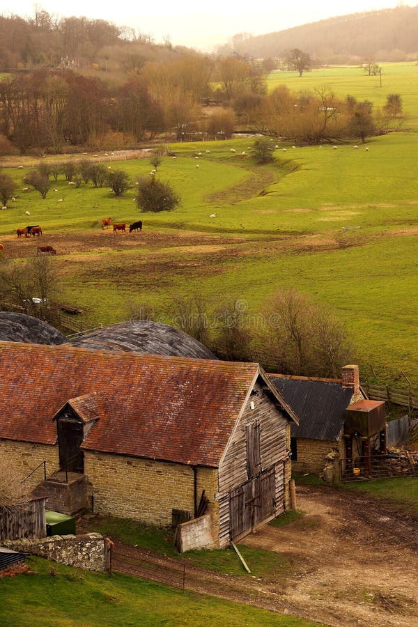 Farm buildings a stock image. Image of sheep, building - 22997047