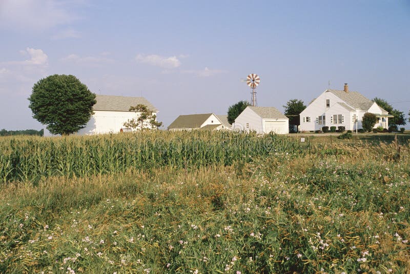 Farm buildings stock image. Image of farmhouse, crop - 23161079