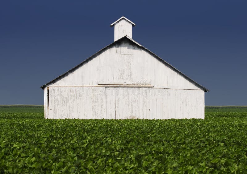 Farm Buildings stock image. Image of farm, farmer, food - 2865385