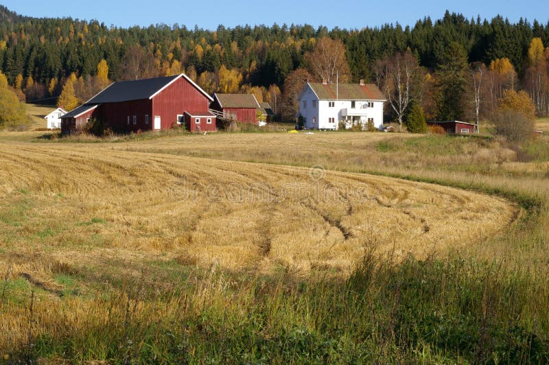 Farm Buildings in Countryside Stock Photo - Image of norwegian, scenery ...