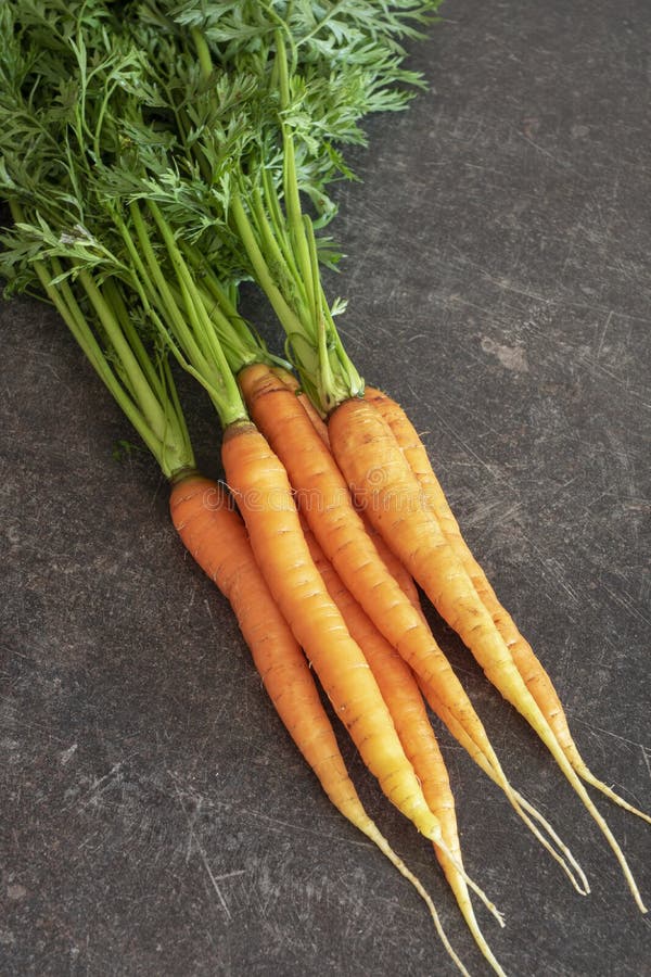 Farm carrots on the table stock photo. Image of leaf - 264838724