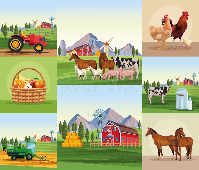 Farm cartoons collection stock vector. Illustration of isolated - 14667605