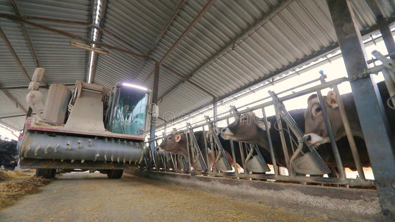 Farm Cleaning Equipment. Bar Cleaning. Specialized Farm Equipment ...