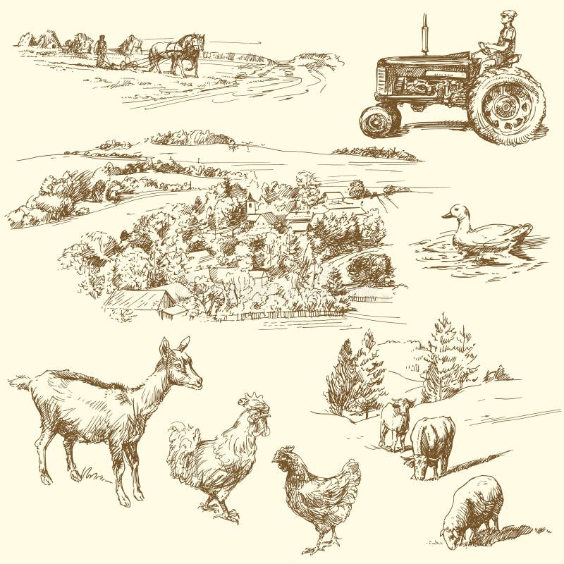 Farm collection stock vector. Illustration of architecture - 26222252