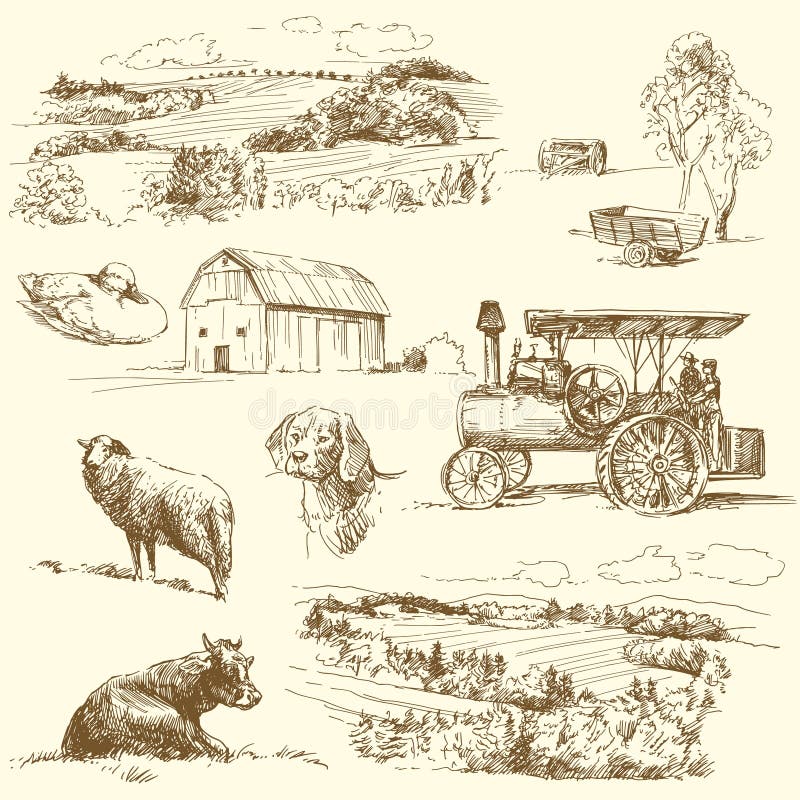 Farm collection stock vector. Illustration of architecture - 26222252