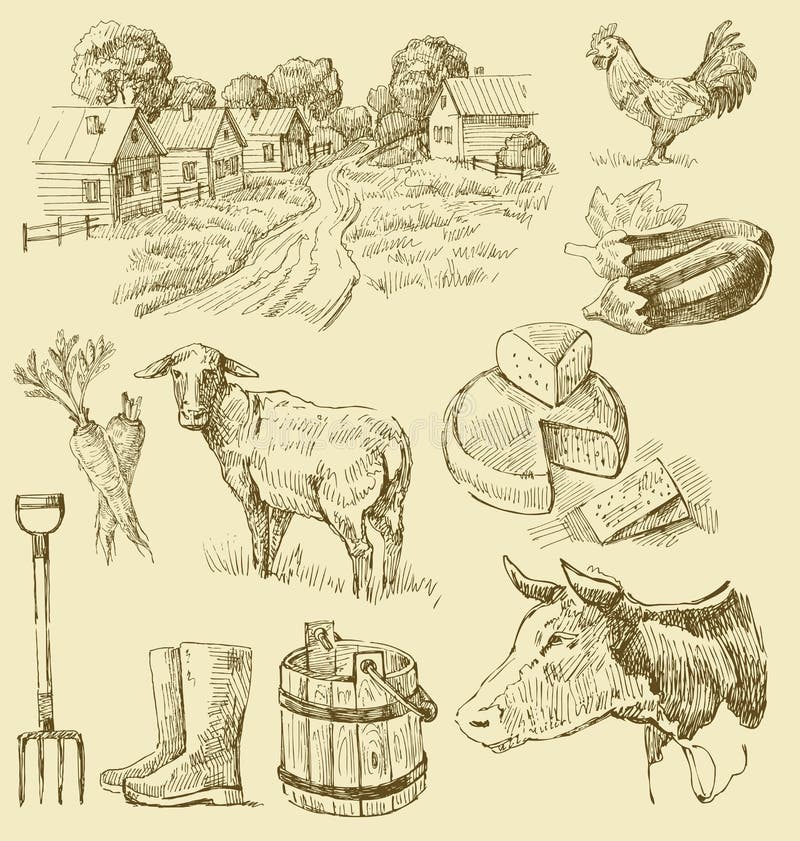 Farm Collection-handmade Drawing Stock Vector - Illustration of product ...
