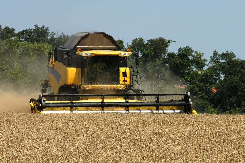 Farm Combine Harvesting Field Stock Image - Image of harvesting ...