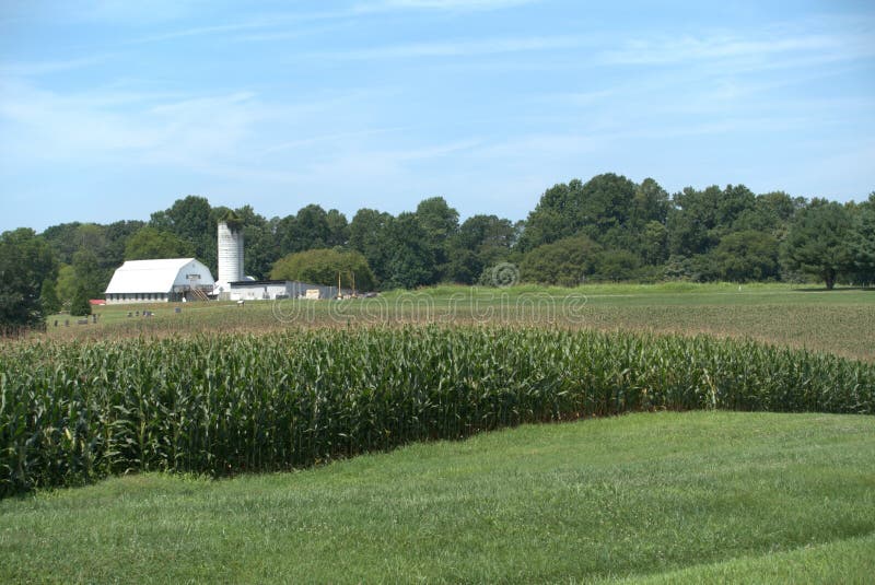 Farm and Corn Field in Powhatan Virginia Stock Photo - Image of pasture ...