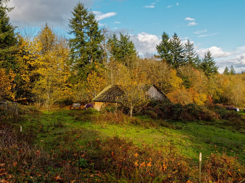 Farm in Country stock image. Image of changing, horse - 91525257