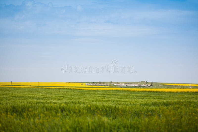 Distant farm stock photo. Image of agriculture, house - 4433308