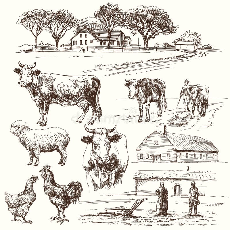 Farm - Hand Drawn Collection Stock Vector - Illustration of agriculture ...
